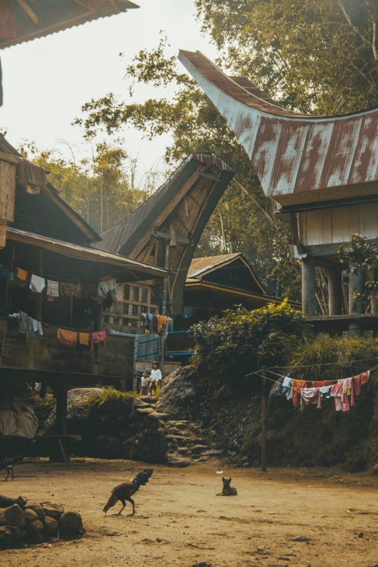 Toraja Wallpapers - Top Free Toraja Backgrounds - WallpaperAccess