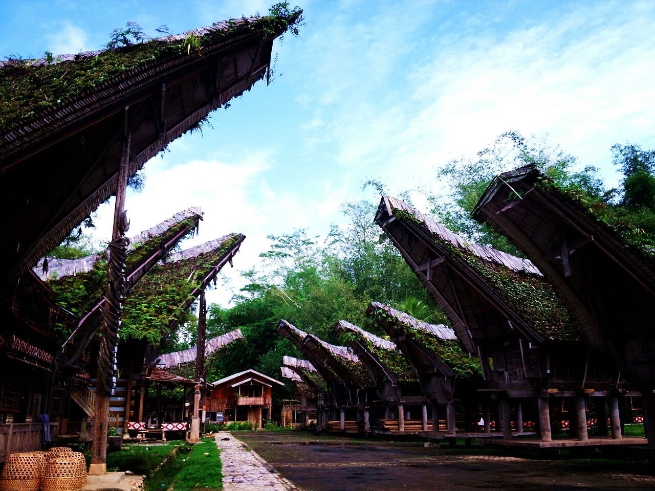 Toraja Wallpapers - Top Free Toraja Backgrounds - WallpaperAccess