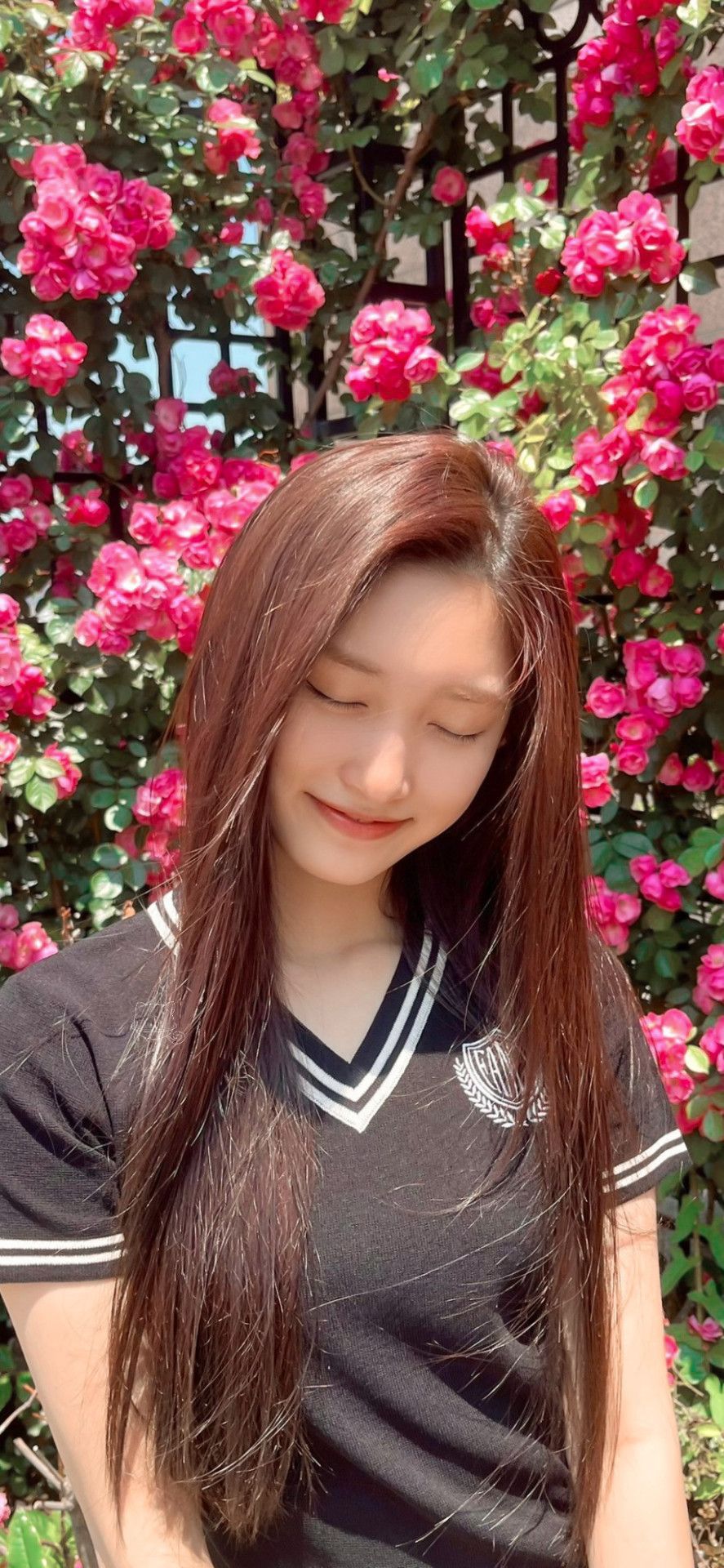 Leeseo Wallpapers - Top Free Leeseo Backgrounds - WallpaperAccess