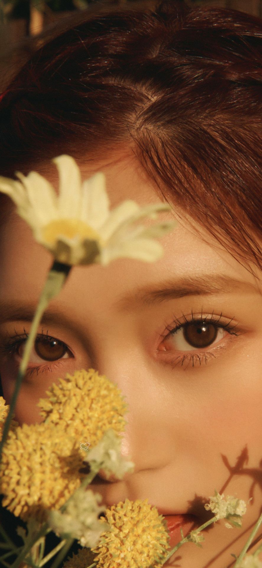 Leeseo Wallpapers - Top Free Leeseo Backgrounds - WallpaperAccess