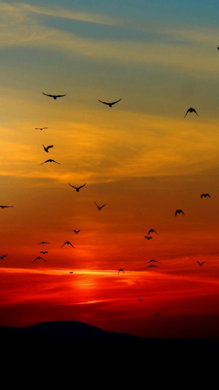 Sad Sunset Wallpapers - Top Free Sad Sunset Backgrounds - WallpaperAccess