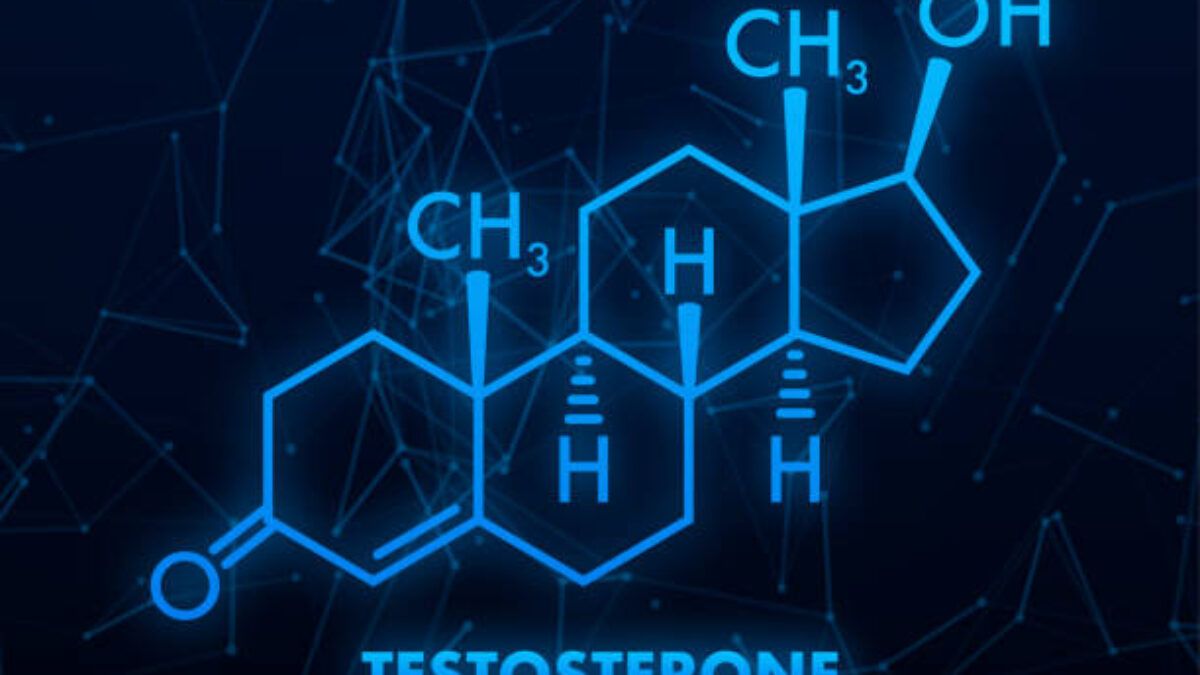 Testosterone Wallpapers - Top Free Testosterone Backgrounds ...