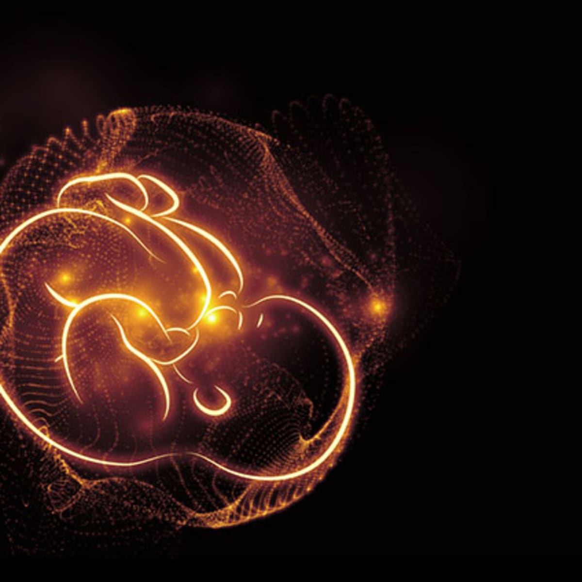 Testosterone Wallpapers - Top Free Testosterone Backgrounds ...