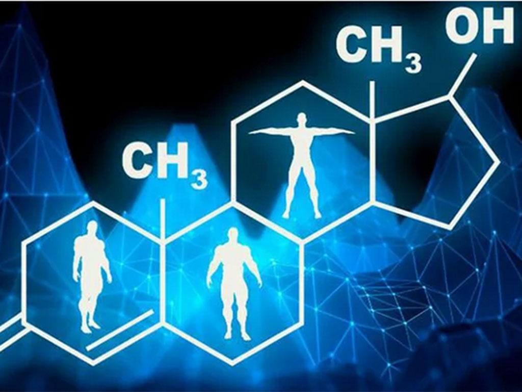 Testosterone Wallpapers - Top Free Testosterone Backgrounds ...