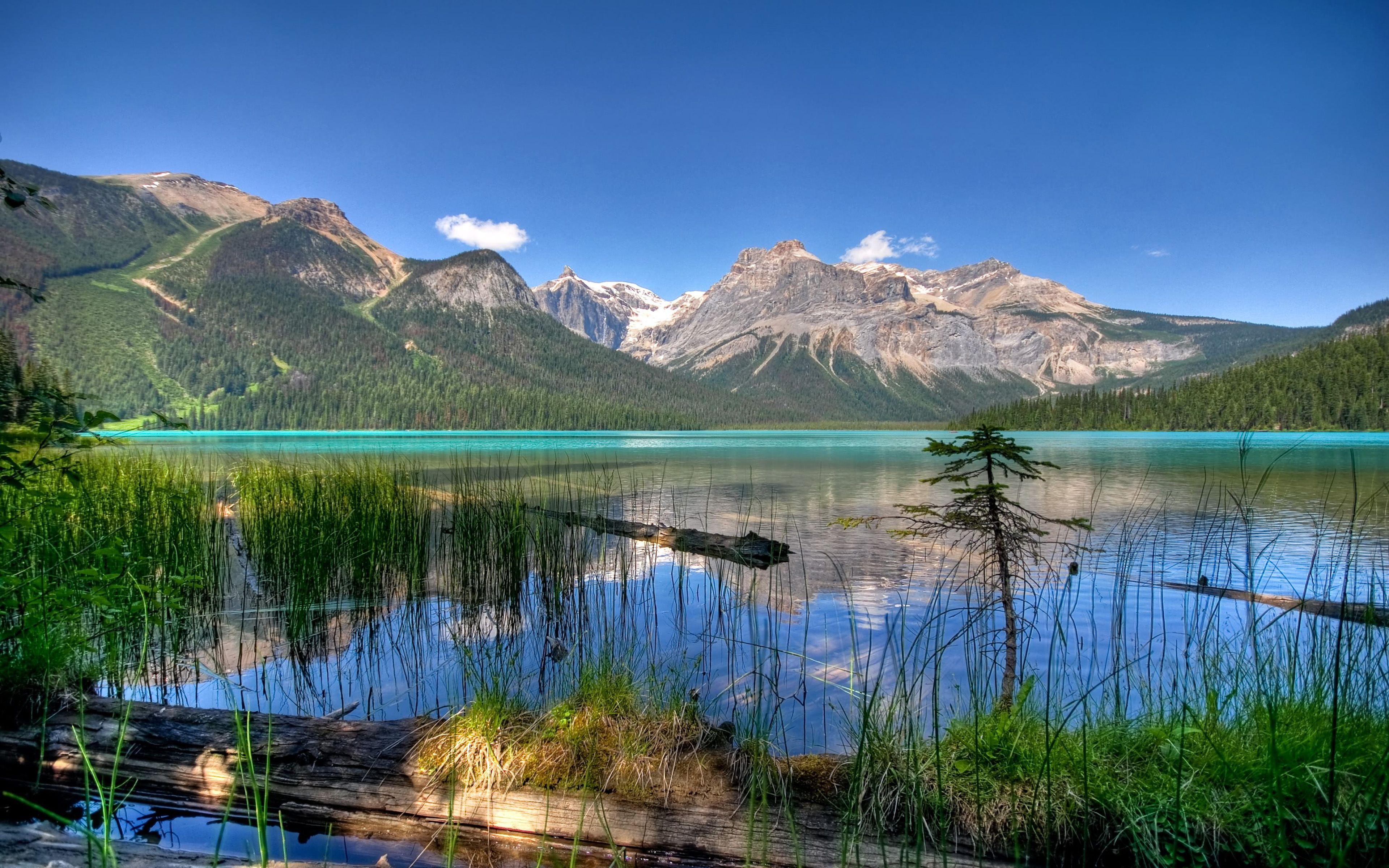 Colorado Mountains Wallpapers - Top Free Colorado Mountains Backgrounds ...