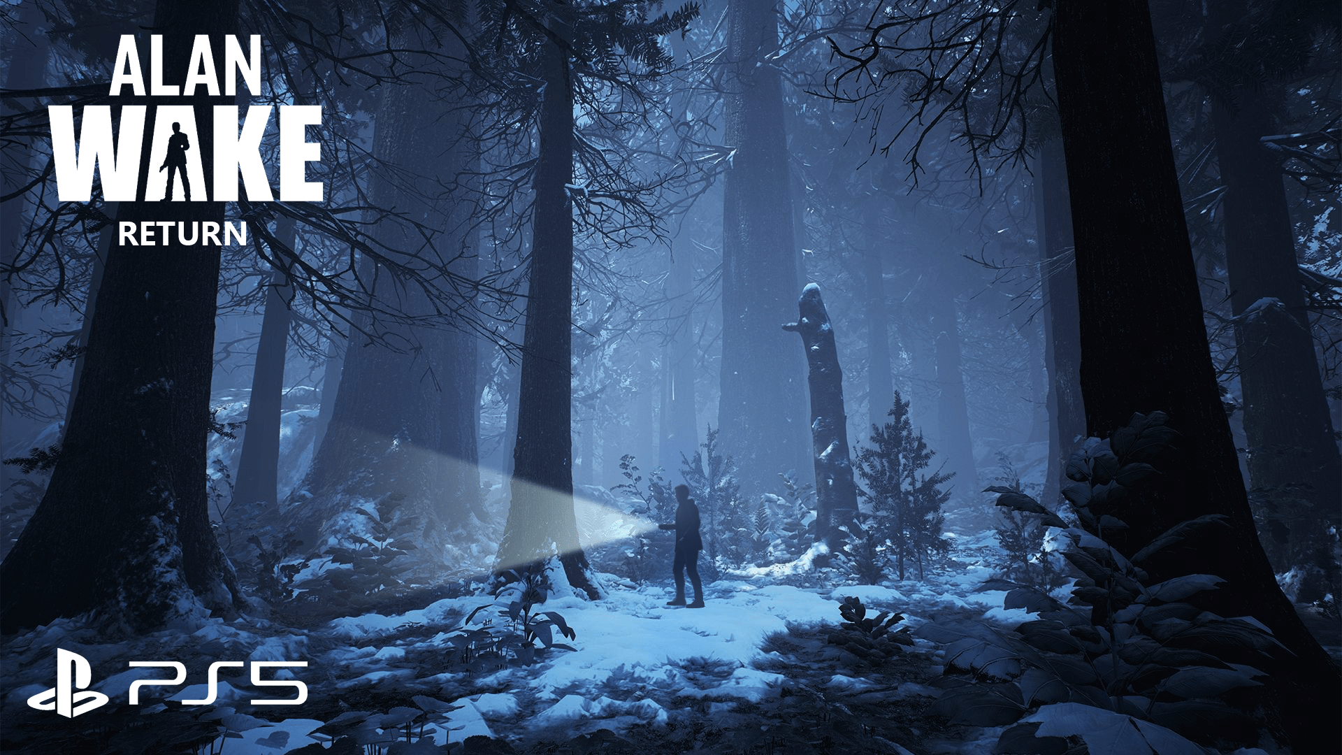 Alan Wake 2 Wallpapers - Top Free Alan Wake 2 Backgrounds - WallpaperAccess
