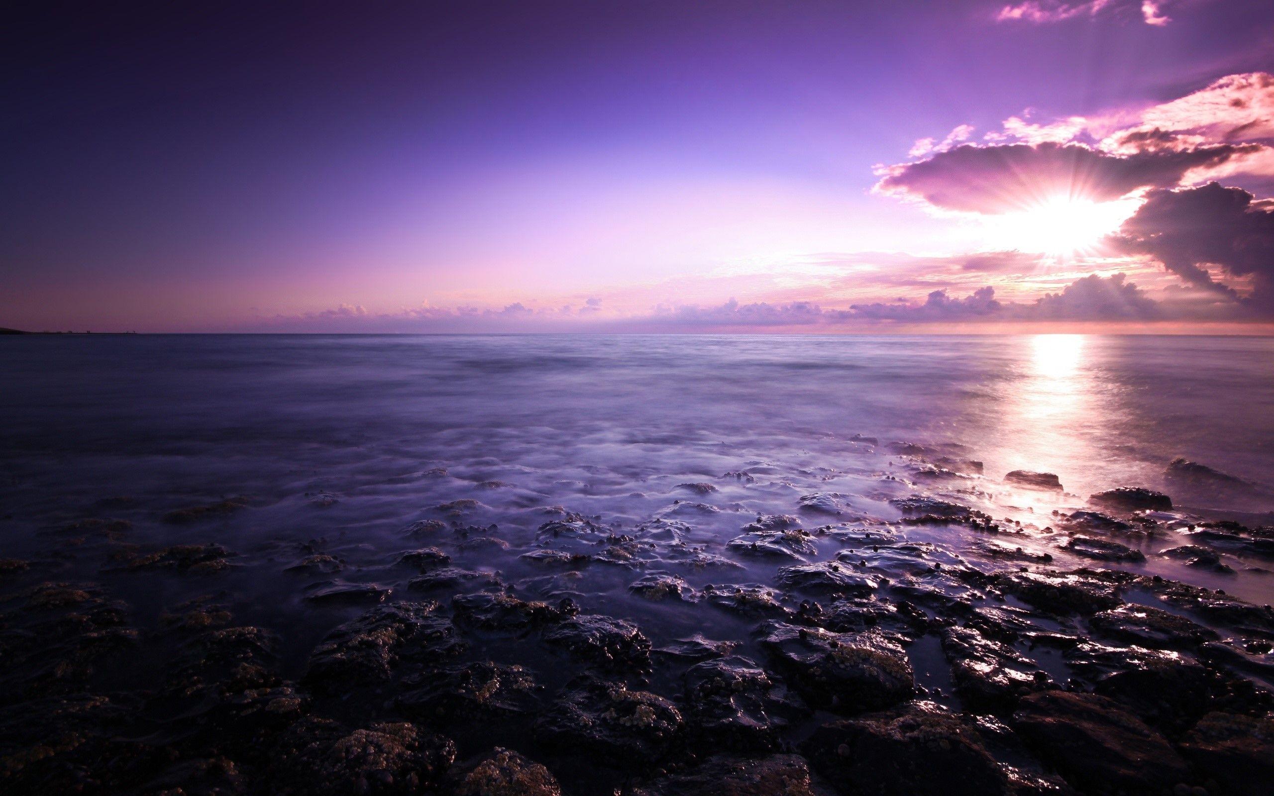 Purple Sunset Wallpapers - Top Free Purple Sunset Backgrounds ...