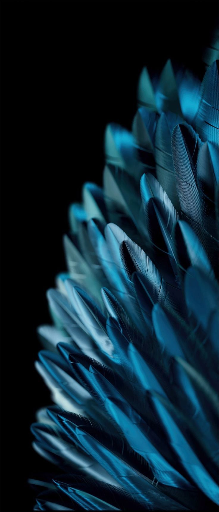Oppo Find N Wallpapers - Top Free Oppo Find N Backgrounds - WallpaperAccess