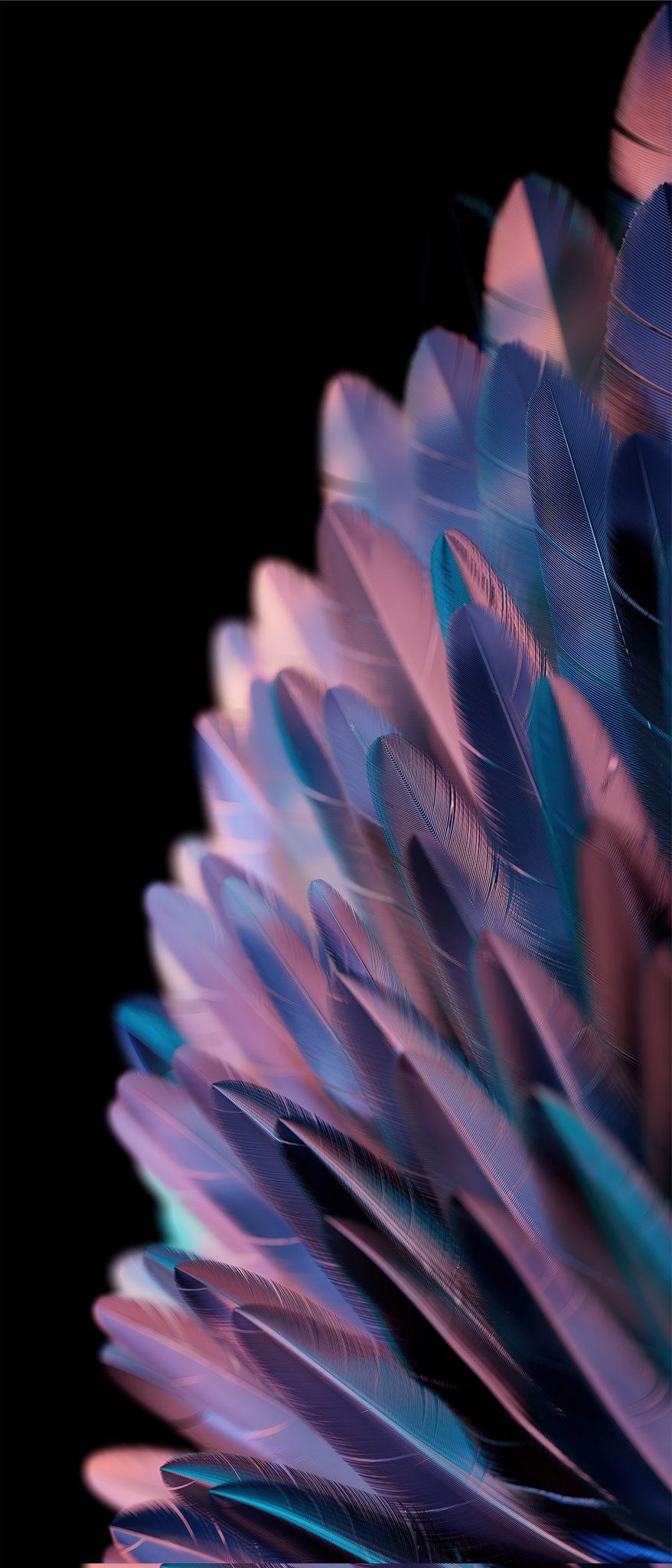 Oppo Find N Wallpapers - Top Free Oppo Find N Backgrounds - WallpaperAccess