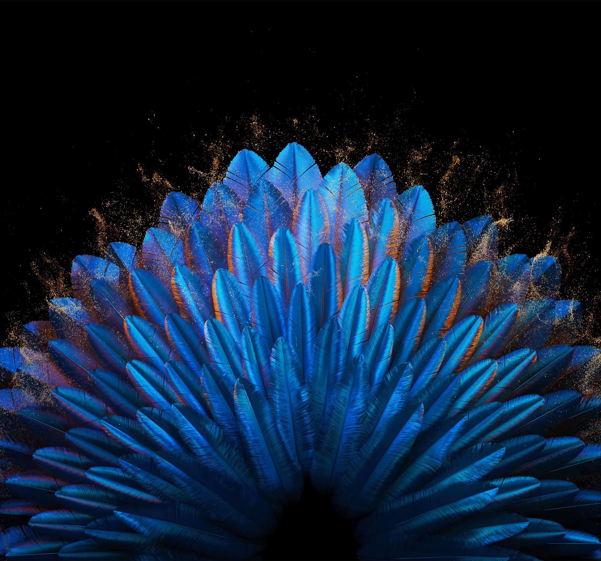 Oppo Find N Wallpapers - Top Free Oppo Find N Backgrounds - WallpaperAccess