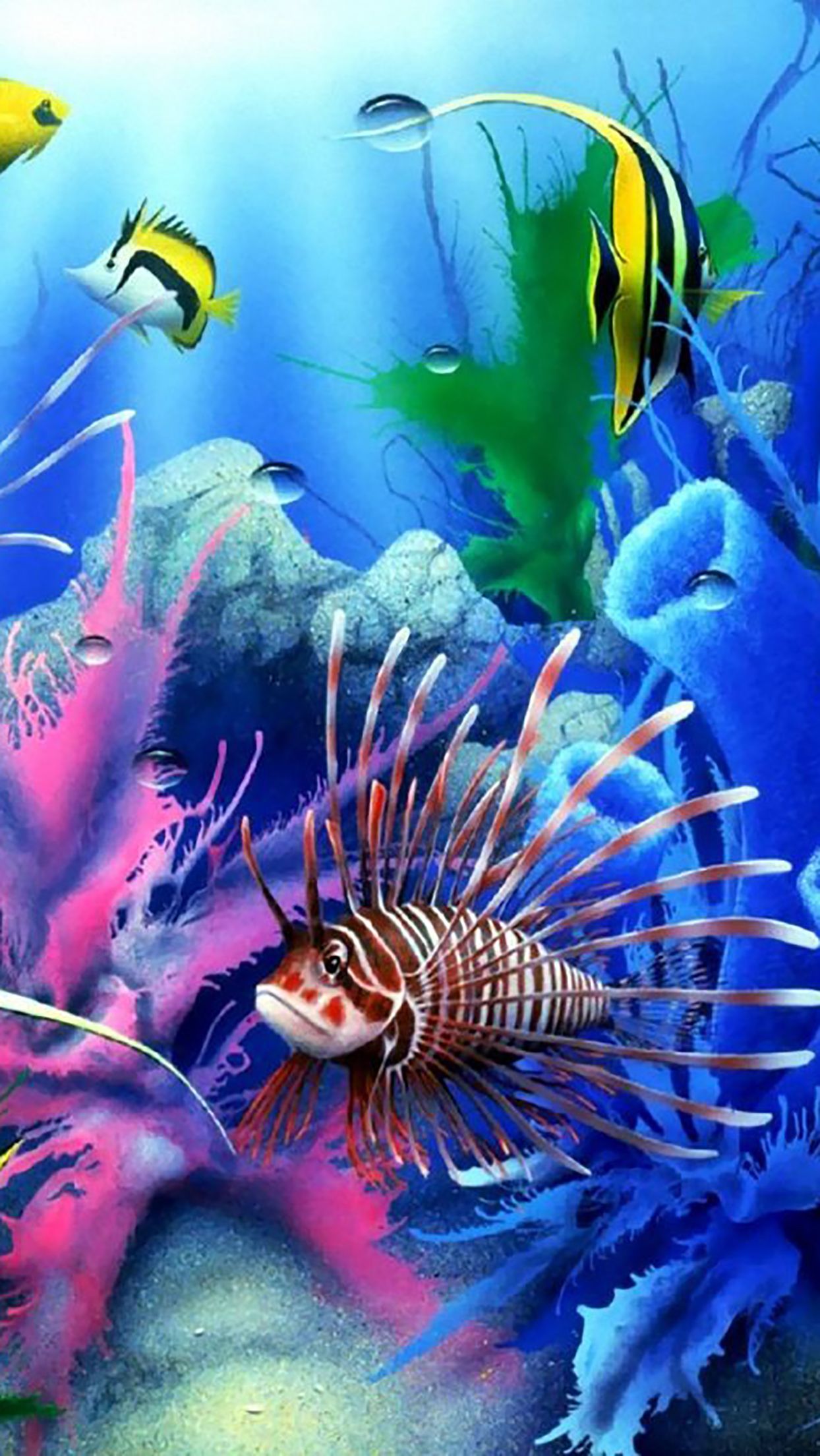 Poisson Wallpapers - Top Free Poisson Backgrounds - WallpaperAccess