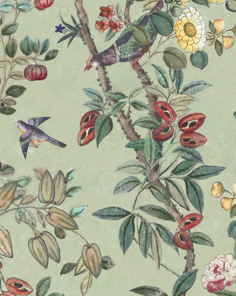 Poisson Wallpapers - Top Free Poisson Backgrounds - WallpaperAccess