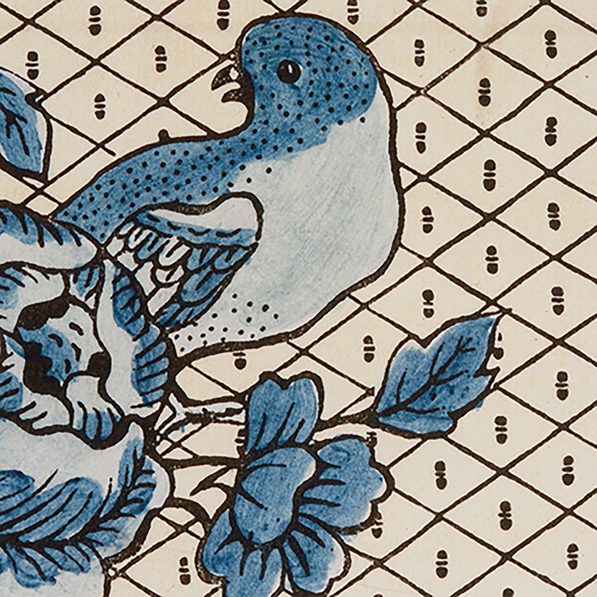 Poisson Wallpapers - Top Free Poisson Backgrounds - WallpaperAccess