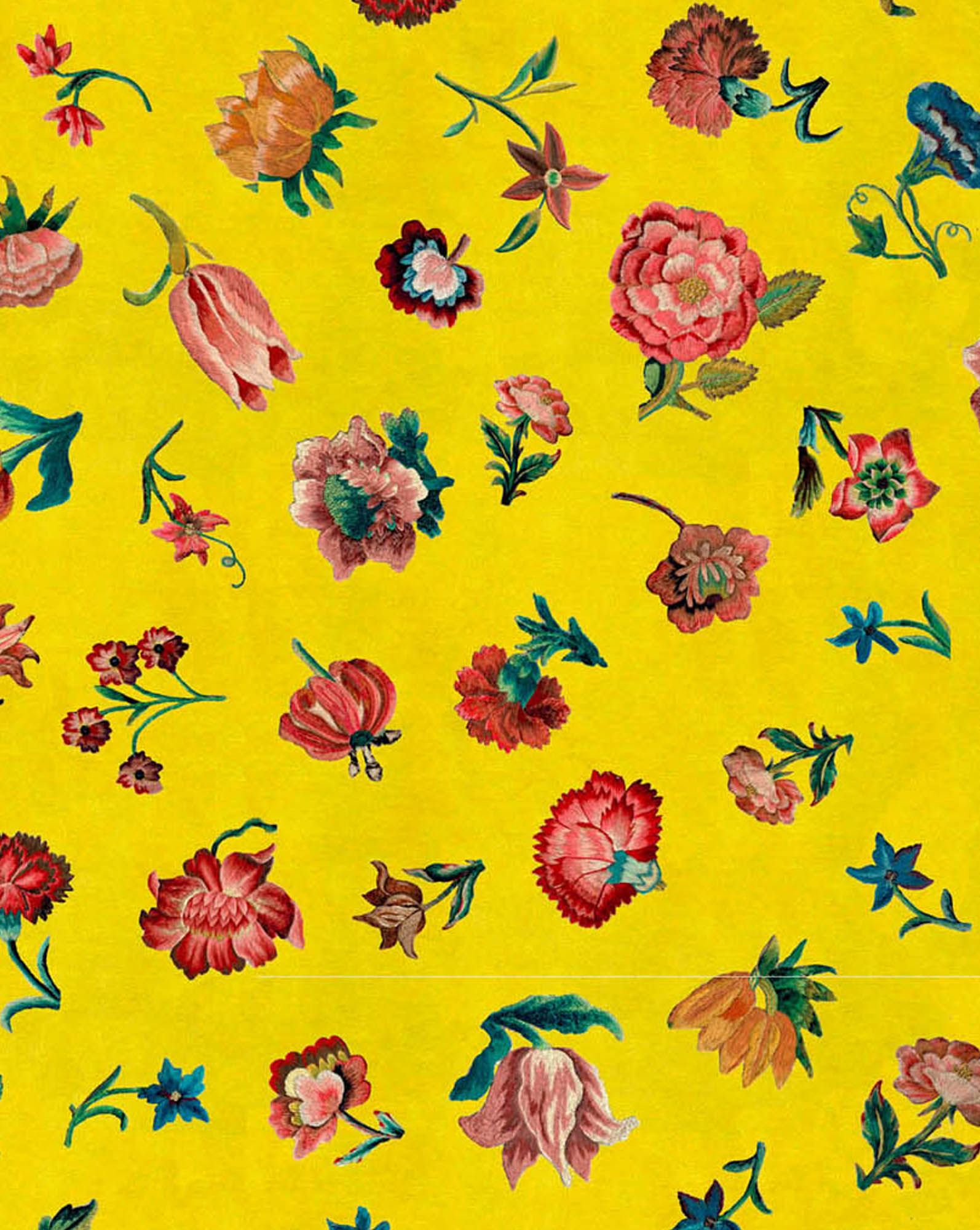 Poisson Wallpapers - Top Free Poisson Backgrounds - WallpaperAccess