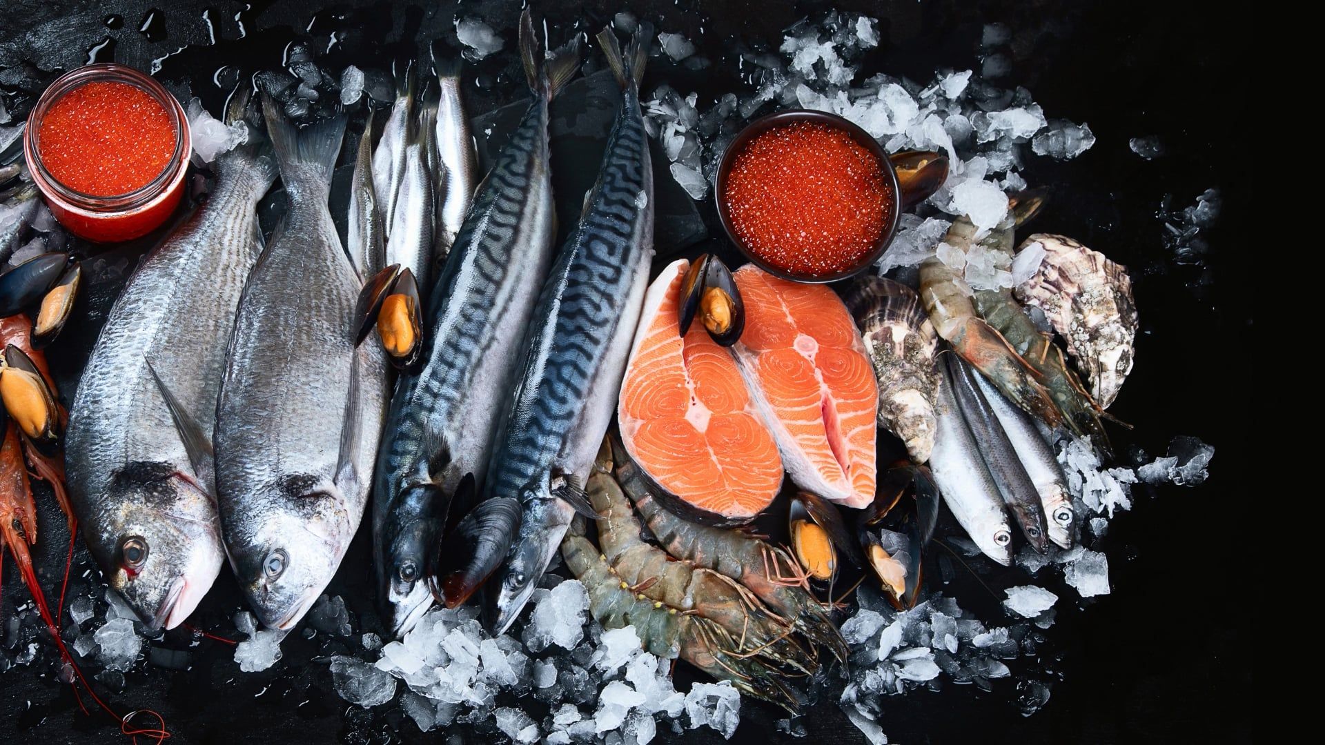 Poisson Wallpapers - Top Free Poisson Backgrounds - WallpaperAccess