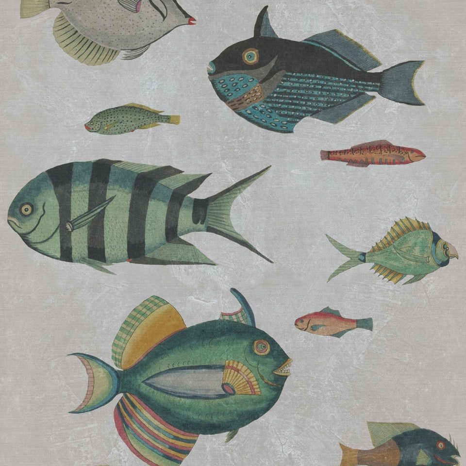 Poisson Wallpapers - Top Free Poisson Backgrounds - WallpaperAccess