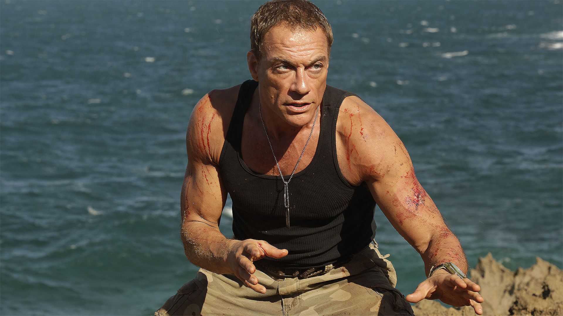 JCVD Wallpapers - Top Free JCVD Backgrounds - WallpaperAccess