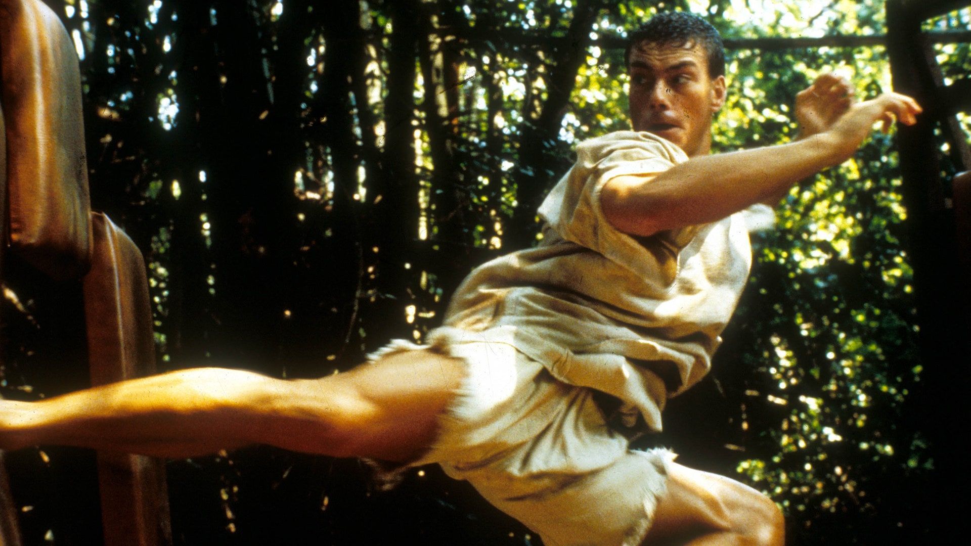 JCVD Wallpapers - Top Free JCVD Backgrounds - WallpaperAccess