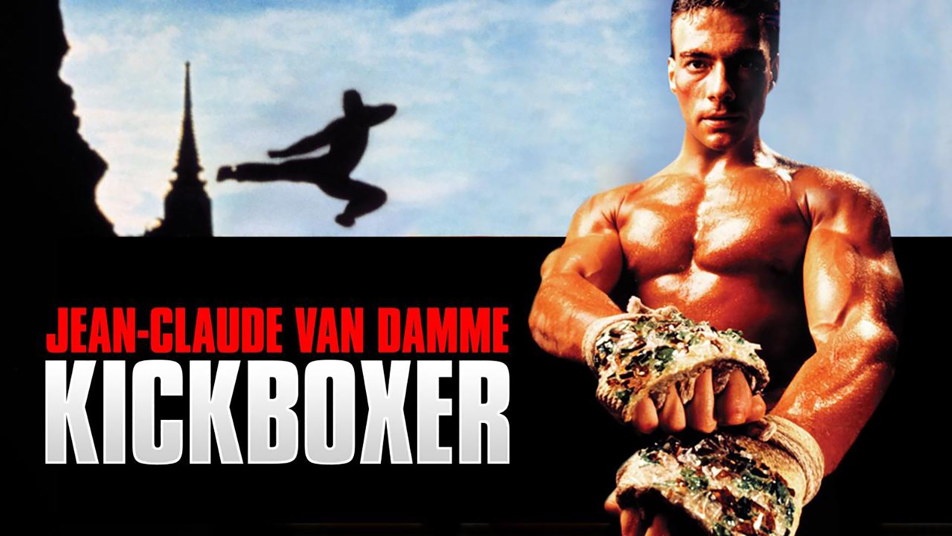 JCVD Wallpapers - Top Free JCVD Backgrounds - WallpaperAccess