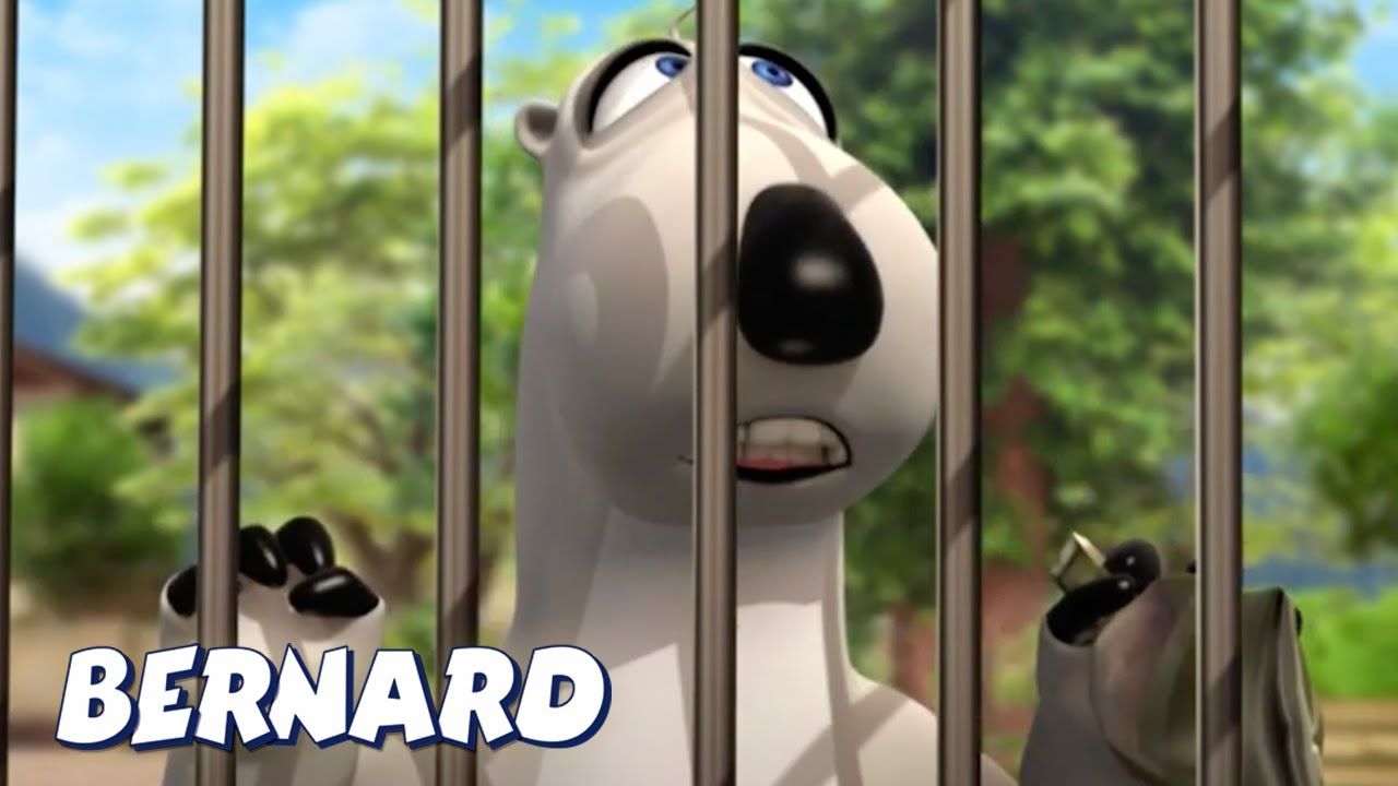 Bernard Bear Wallpapers - Top Free Bernard Bear Backgrounds - WallpaperAccess