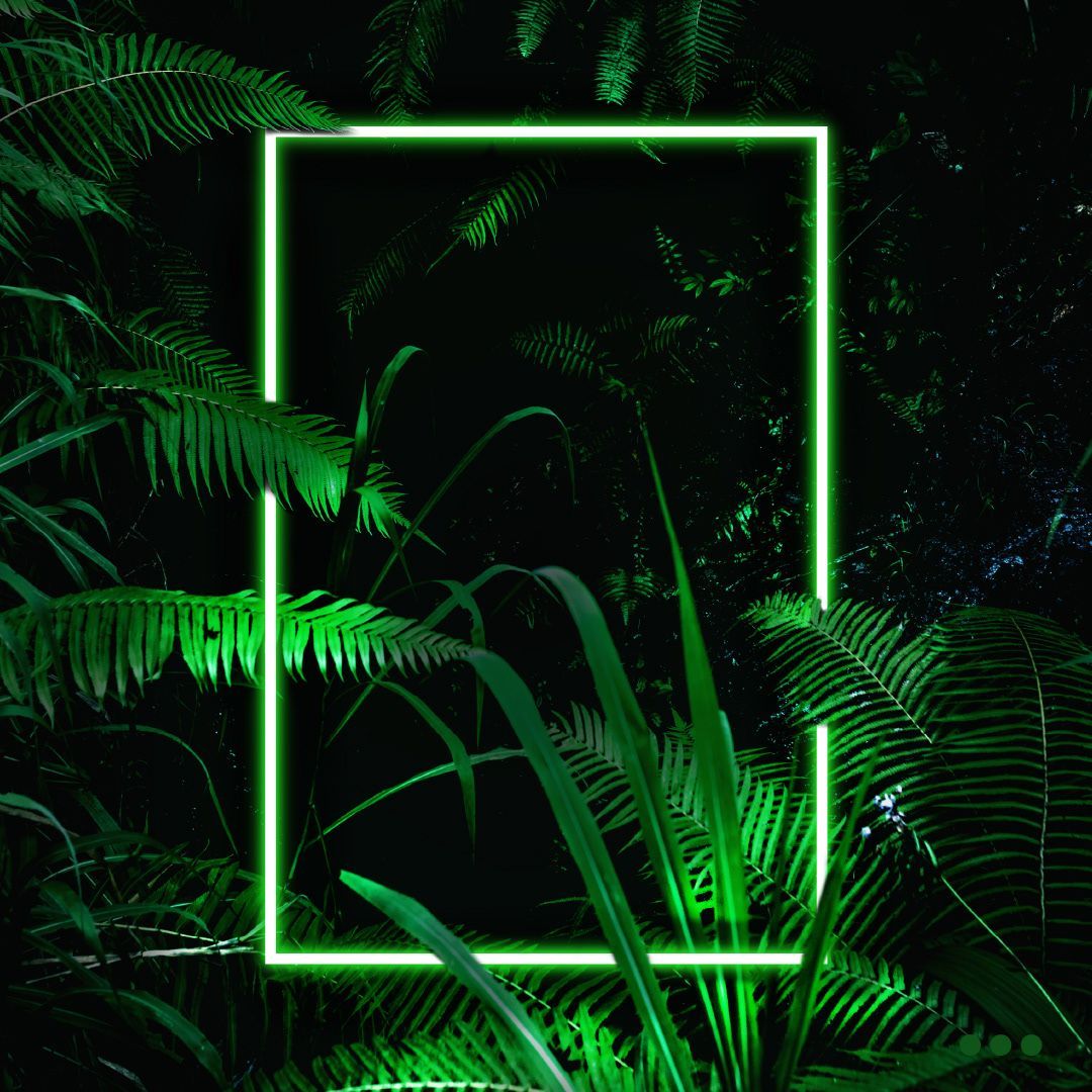 Neon Jungle Wallpapers - Top Free Neon Jungle Backgrounds - WallpaperAccess