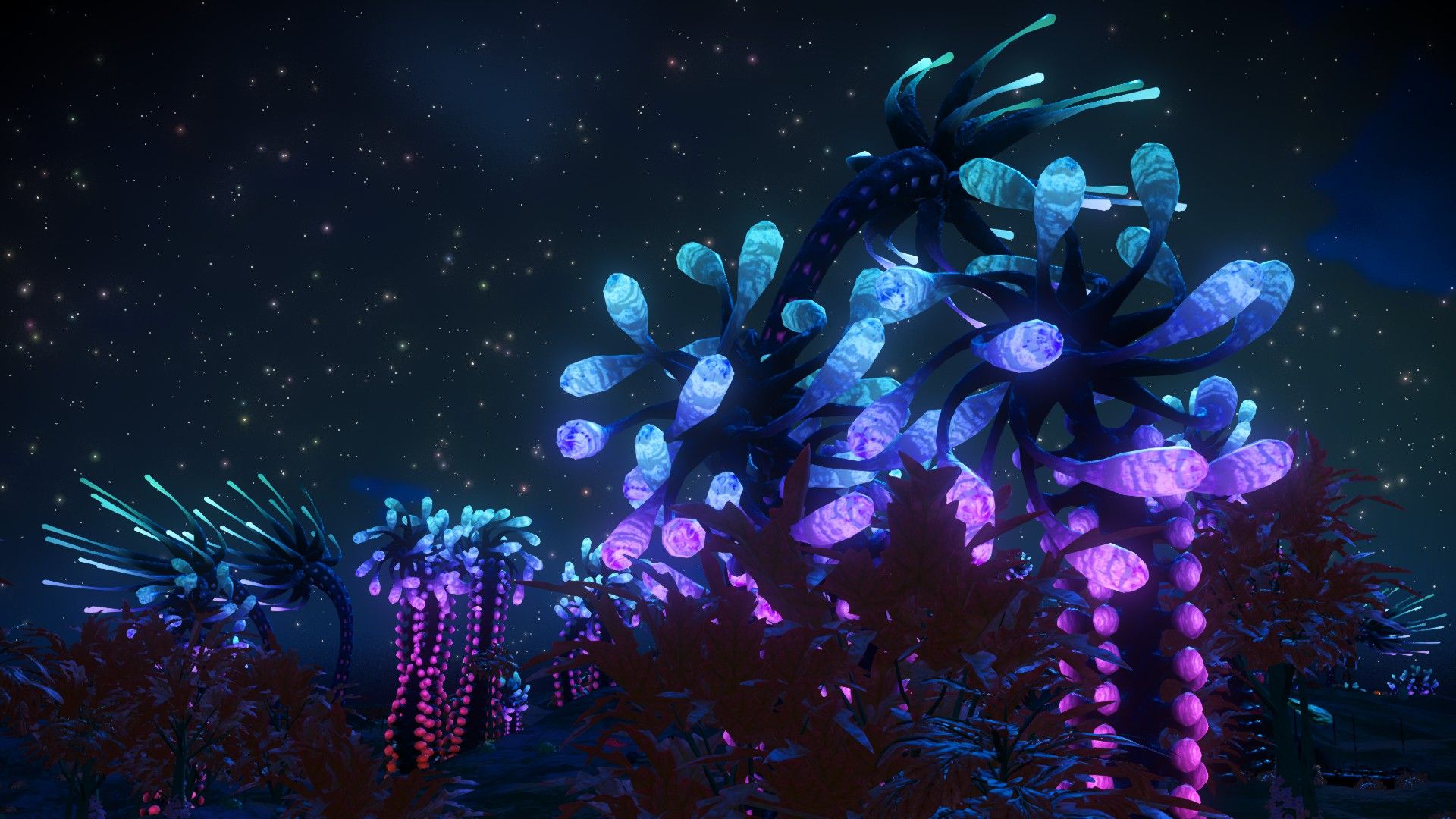 Neon Jungle Wallpapers - Top Free Neon Jungle Backgrounds - WallpaperAccess