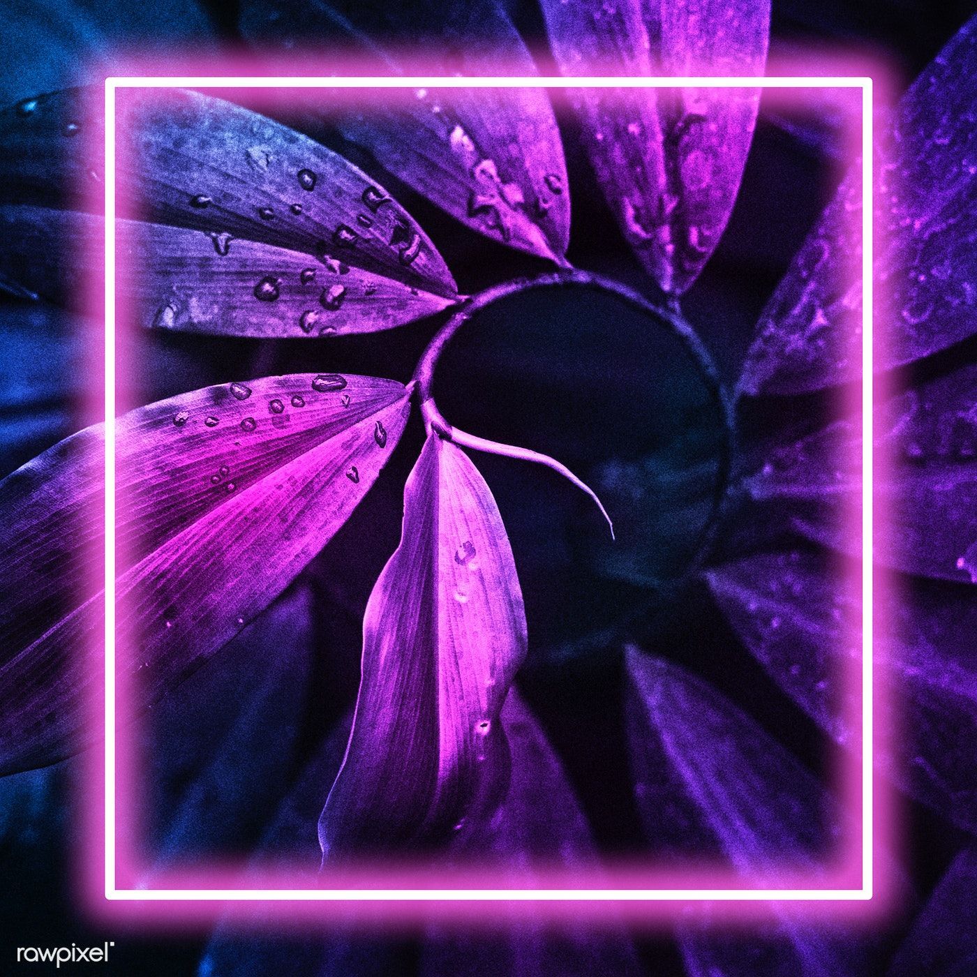 Neon Jungle Wallpapers - Top Free Neon Jungle Backgrounds - WallpaperAccess