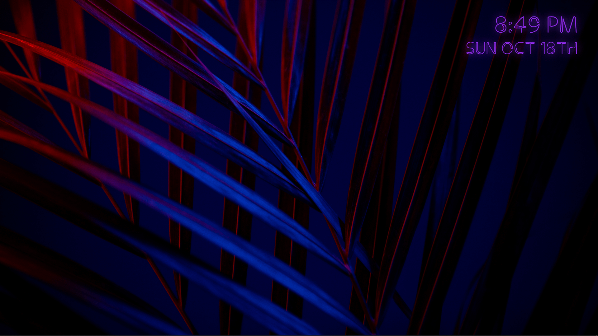 Neon Jungle Wallpapers - Top Free Neon Jungle Backgrounds - WallpaperAccess