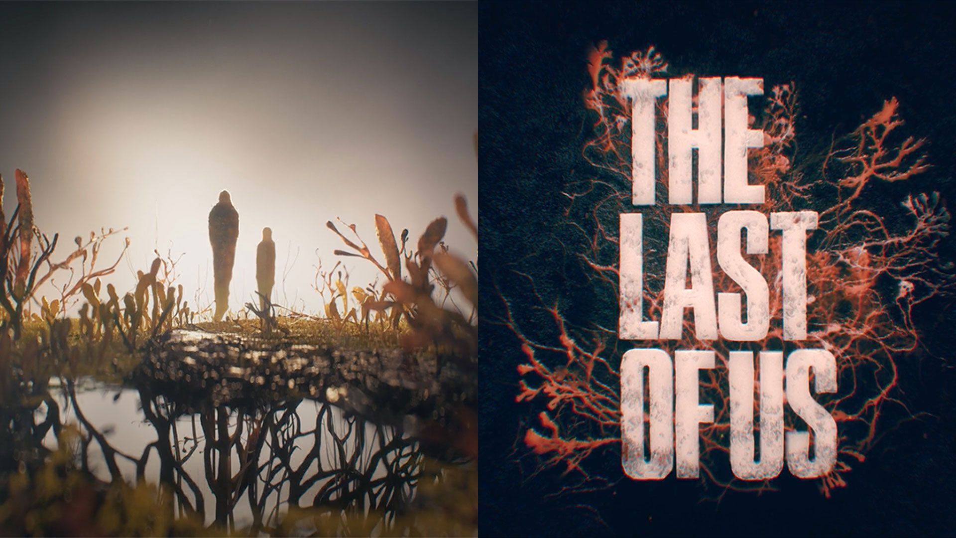 The Last of Us Logo Wallpapers - Top Free The Last of Us Logo ...