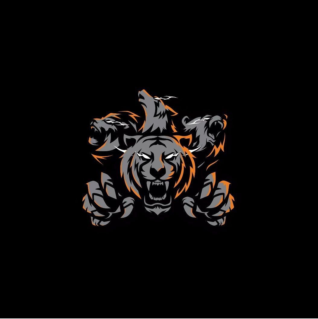 Esports Logo Wallpapers - Top Free Esports Logo Backgrounds ...