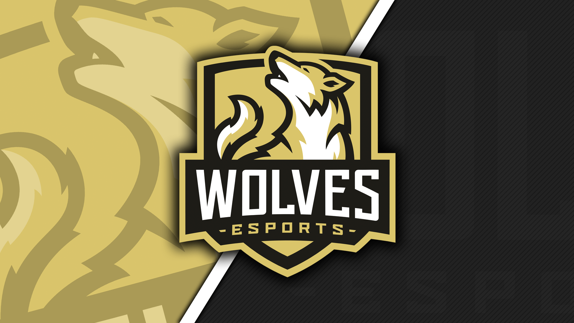 Esports Logo Wallpapers - Top Free Esports Logo Backgrounds ...