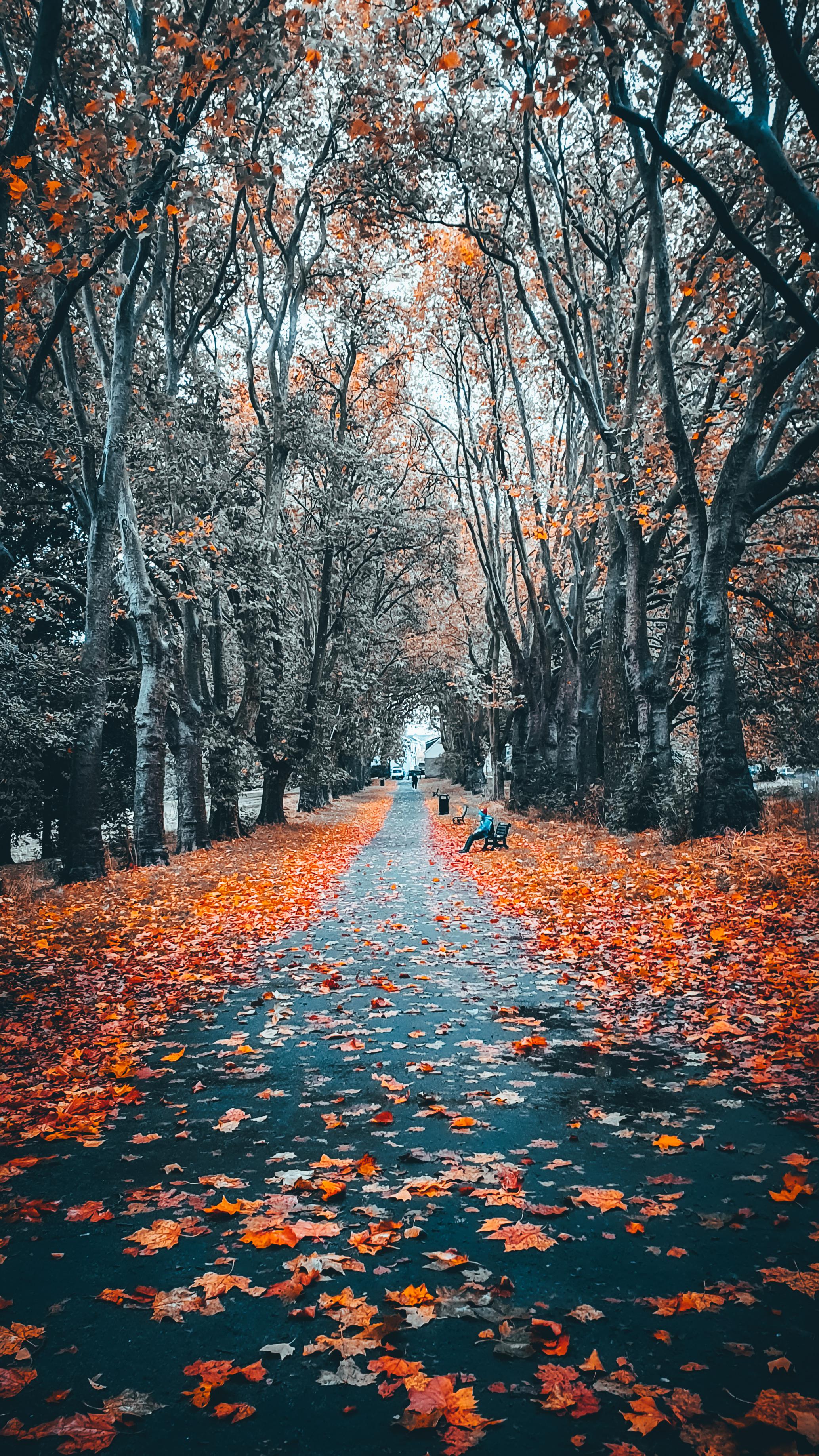 Autumn Vibes Wallpapers - Top Free Autumn Vibes Backgrounds ...