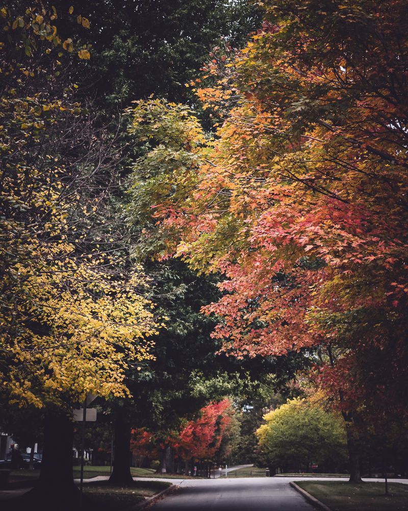 Autumn Vibes Wallpapers - Top Free Autumn Vibes Backgrounds ...