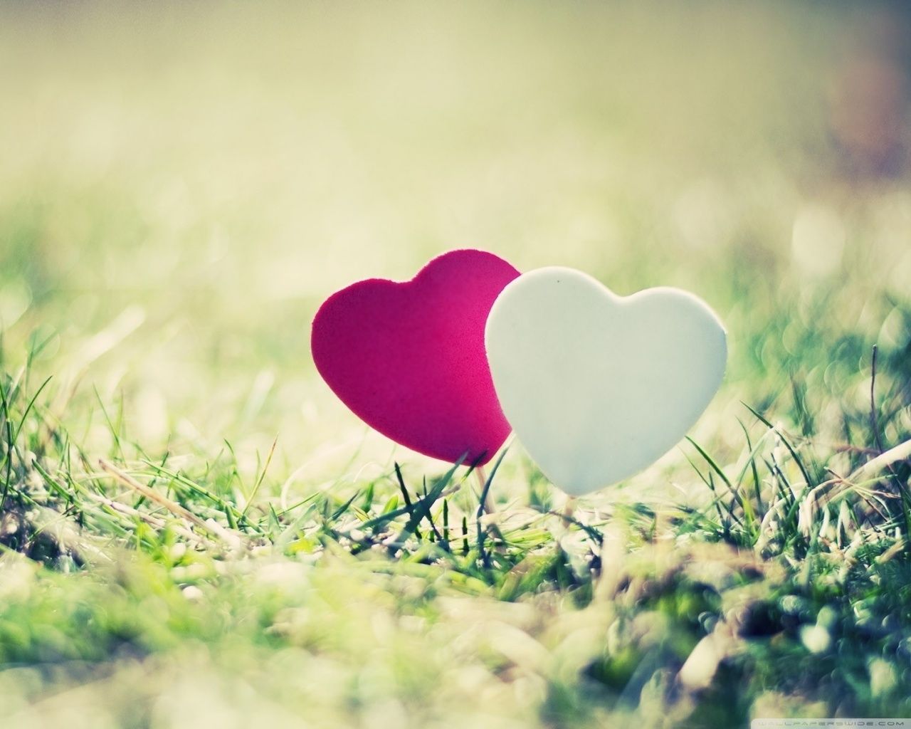 Love Feeling Wallpapers - Top Free Love Feeling Backgrounds ...