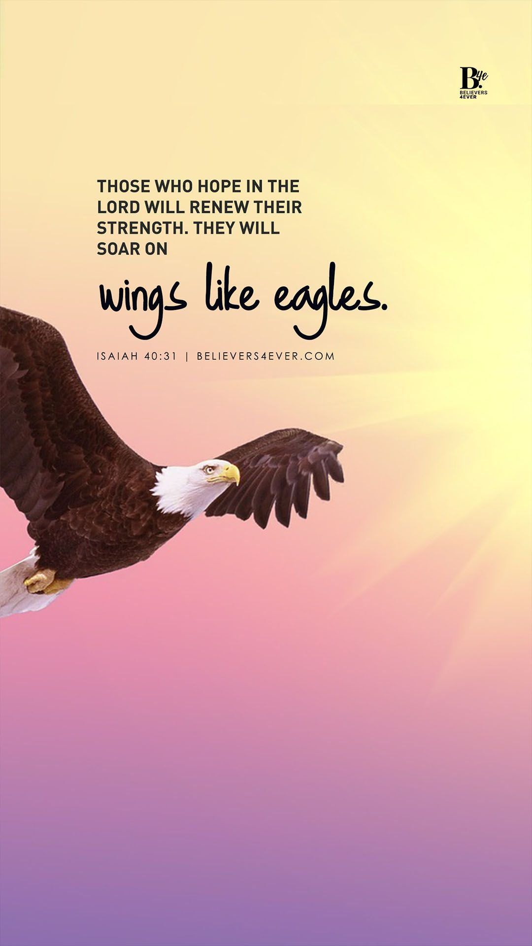 Eagle Wings Wallpapers - Top Free Eagle Wings Backgrounds - WallpaperAccess