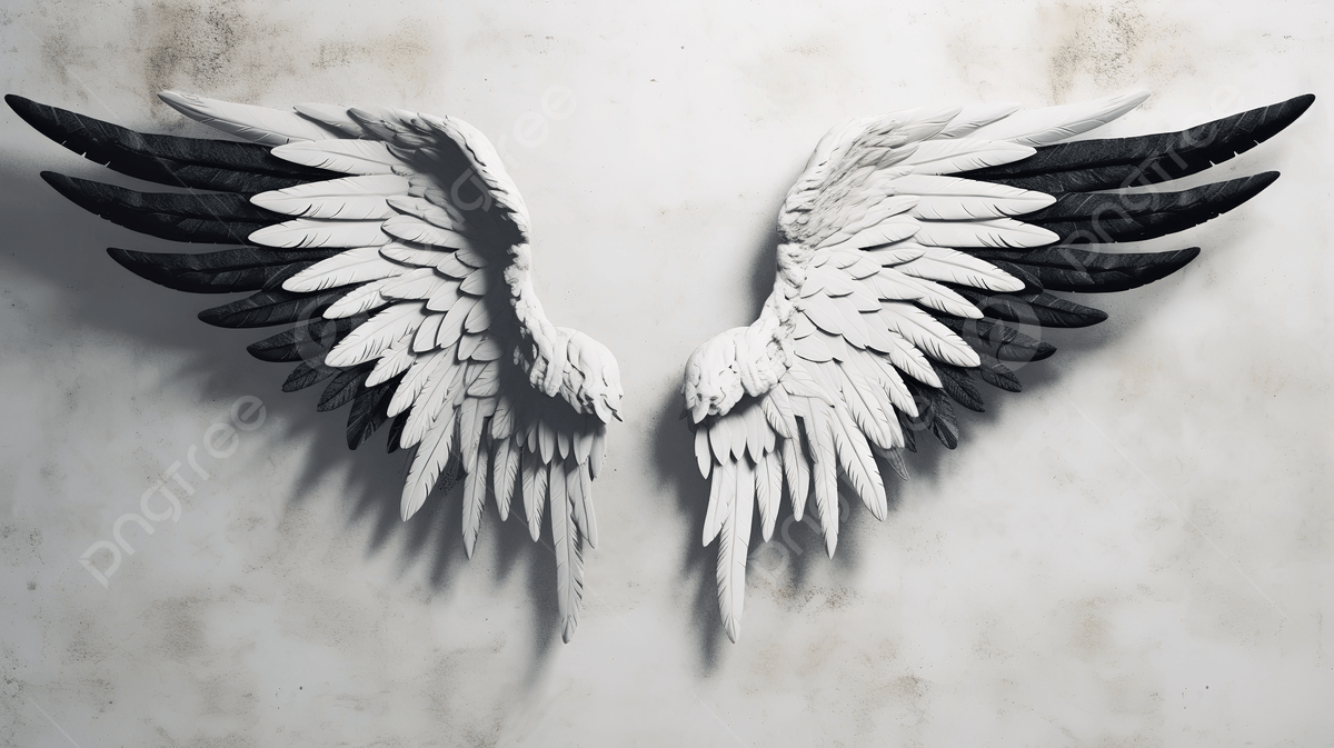 Black and White Wings Wallpapers - Top Free Black and White Wings Backgrounds - WallpaperAccess