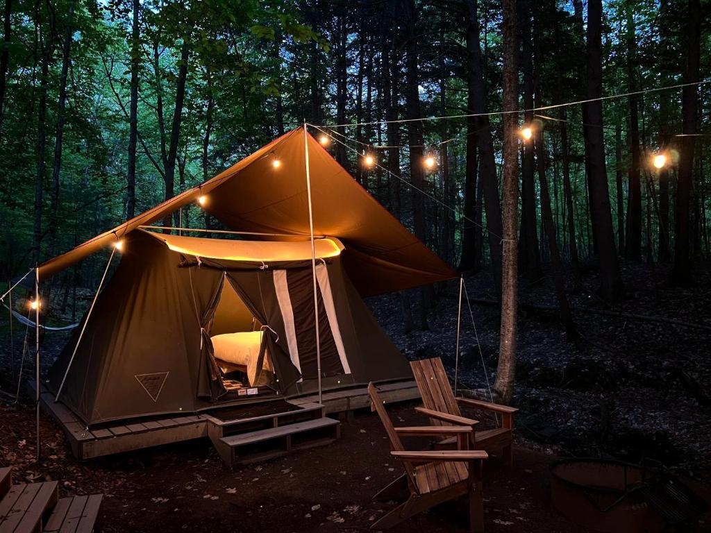 Glamping Wallpapers - Top Free Glamping Backgrounds - WallpaperAccess