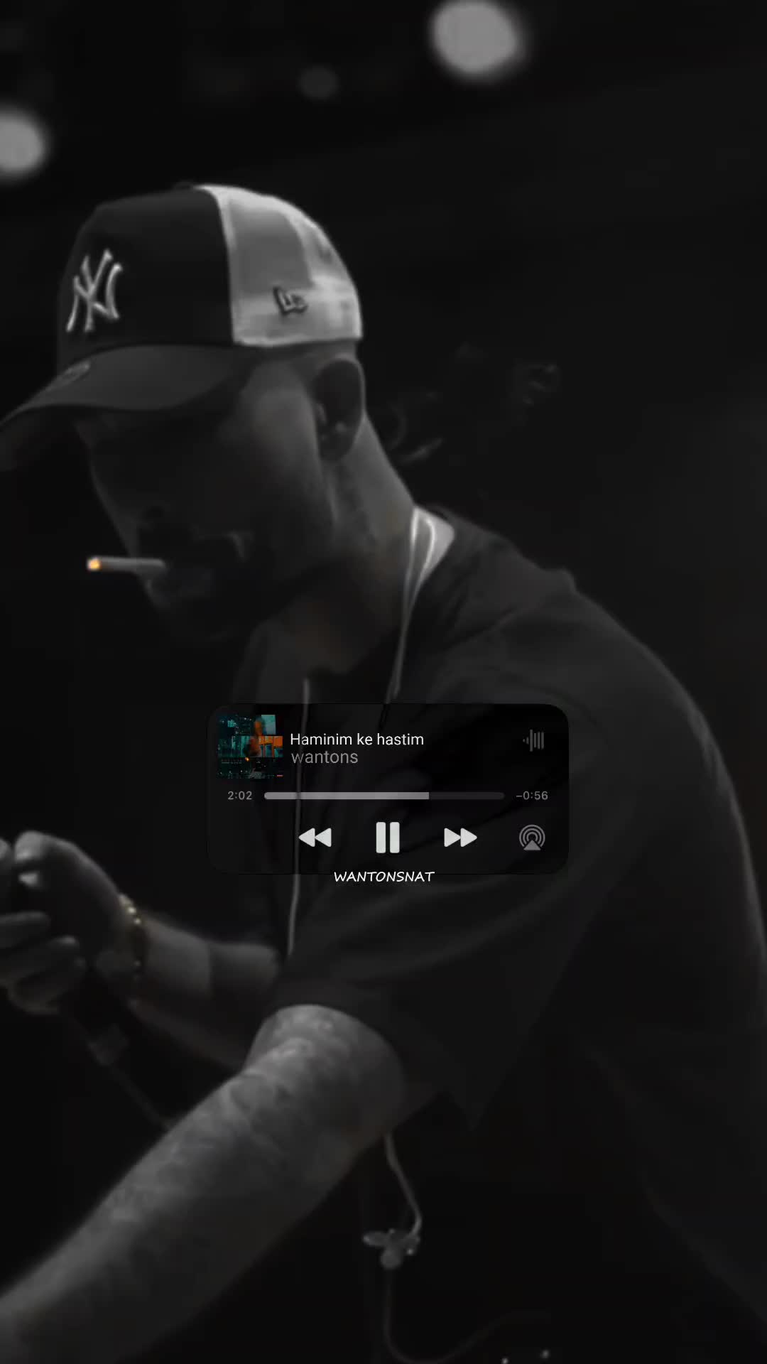 Wantons Wallpapers - Top Free Wantons Backgrounds - WallpaperAccess