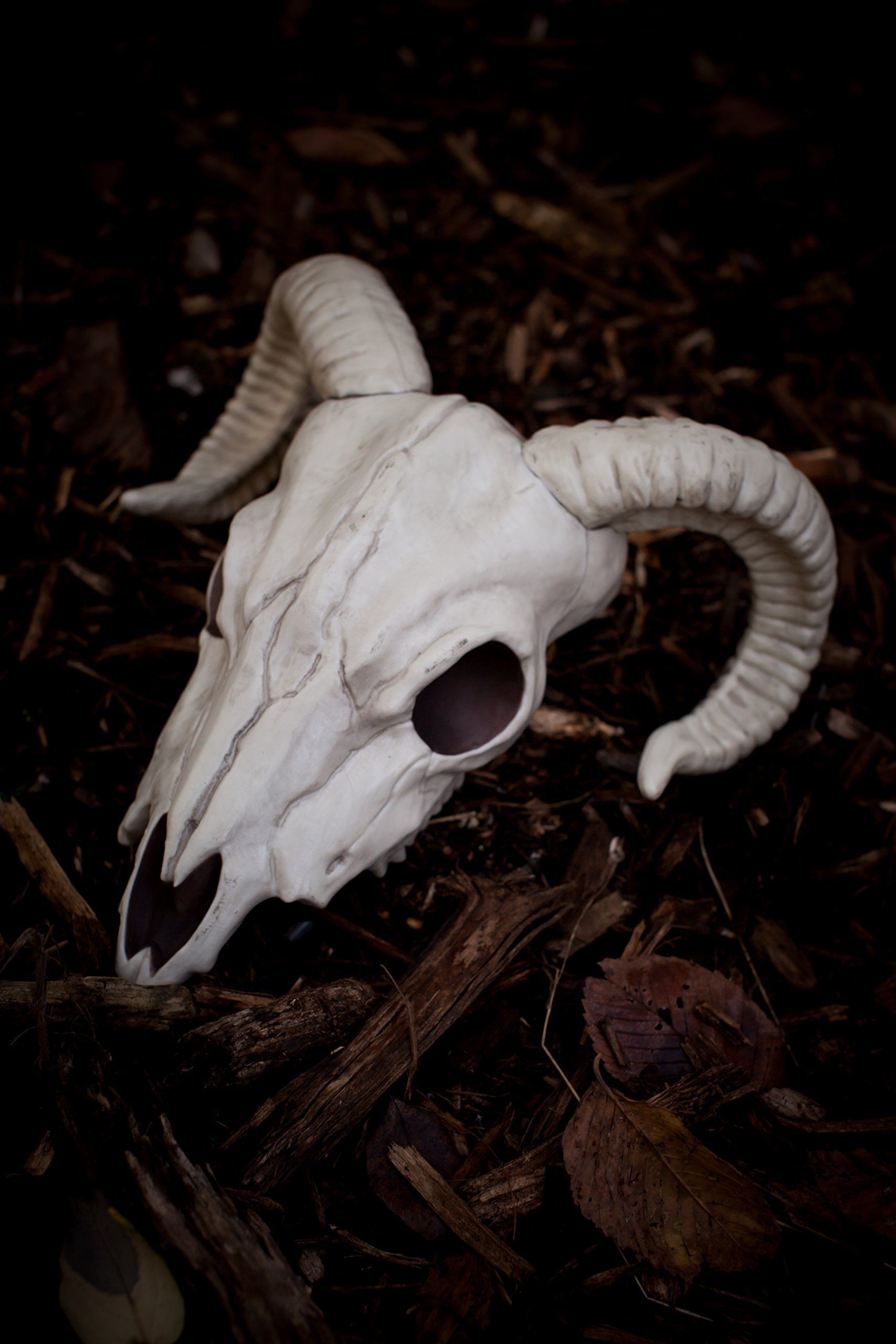 Goat Skull Wallpapers - Top Free Goat Skull Backgrounds - WallpaperAccess