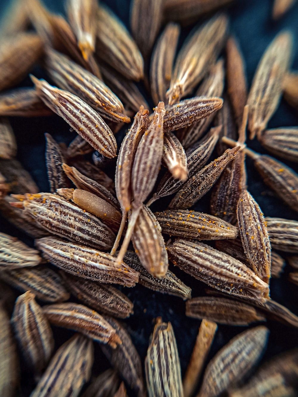 Cumin Wallpapers - Top Free Cumin Backgrounds - WallpaperAccess