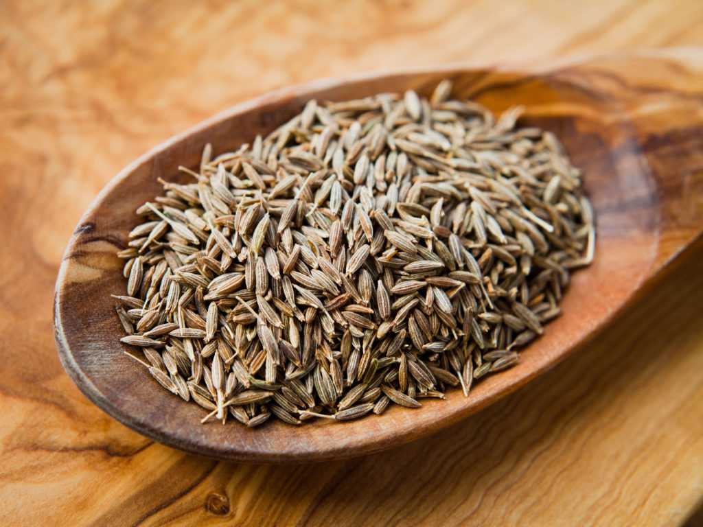 Cumin Wallpapers - Top Free Cumin Backgrounds - WallpaperAccess