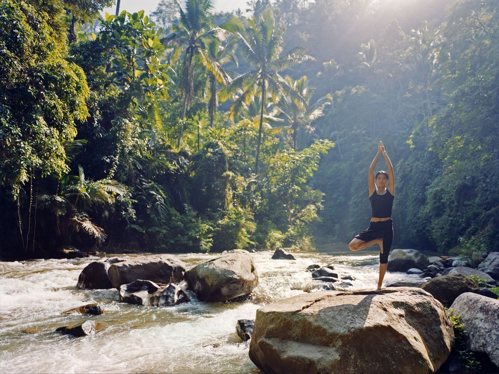 Shambhala Wallpapers - Top Free Shambhala Backgrounds - WallpaperAccess