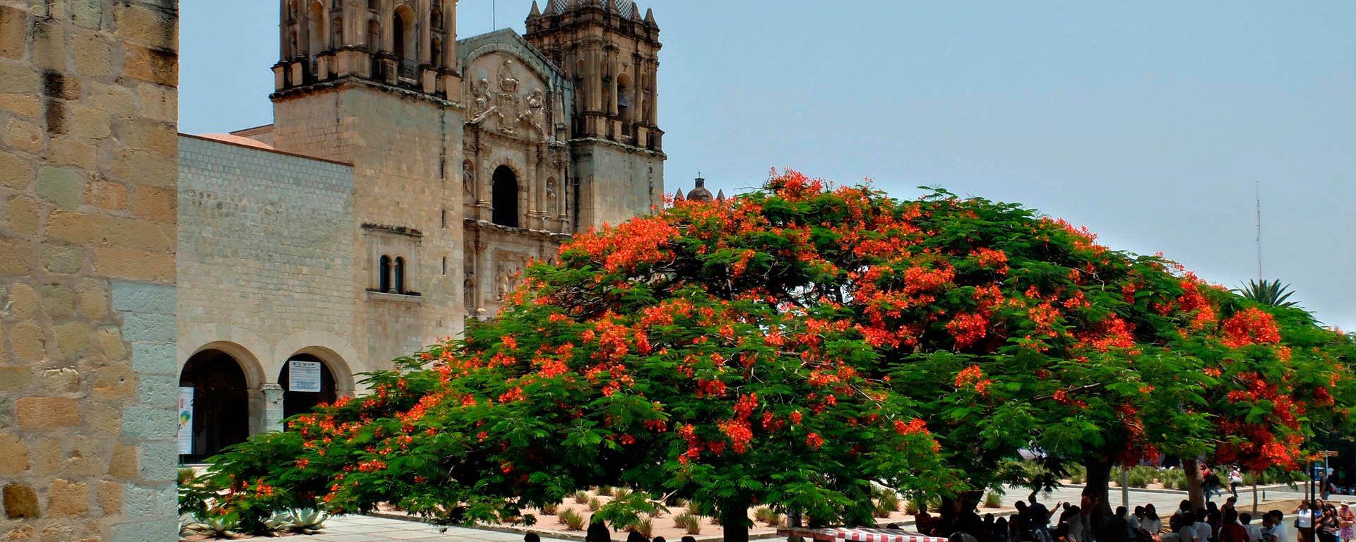 Oaxaca Wallpapers - Top Free Oaxaca Backgrounds - WallpaperAccess