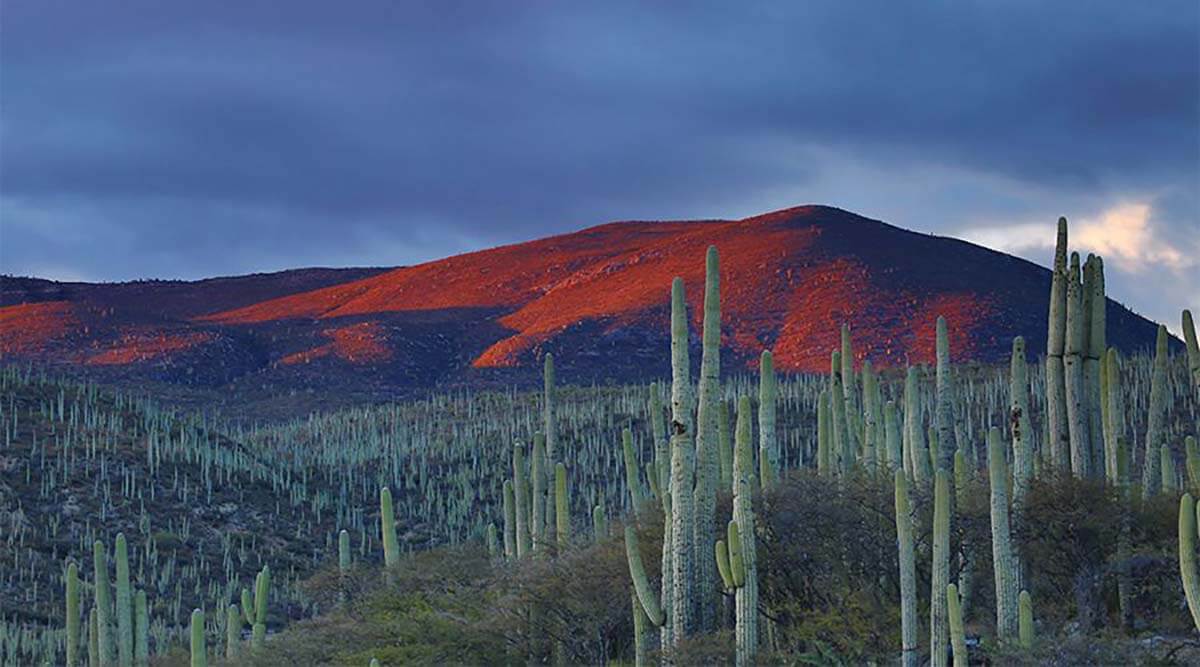 Oaxaca Wallpapers - Top Free Oaxaca Backgrounds - WallpaperAccess