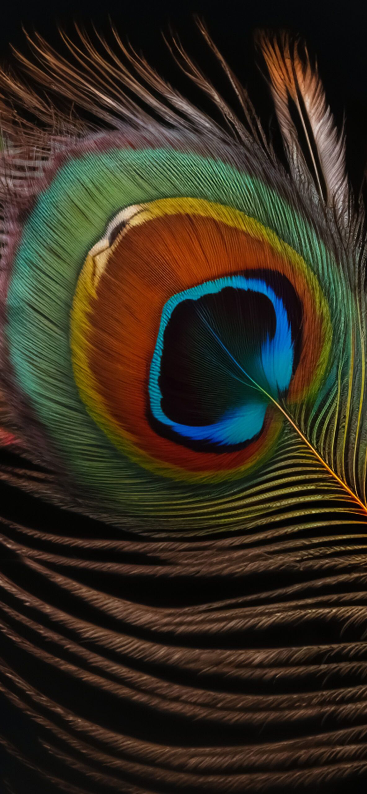 Krishna Feather Wallpapers - Top Free Krishna Feather Backgrounds ...