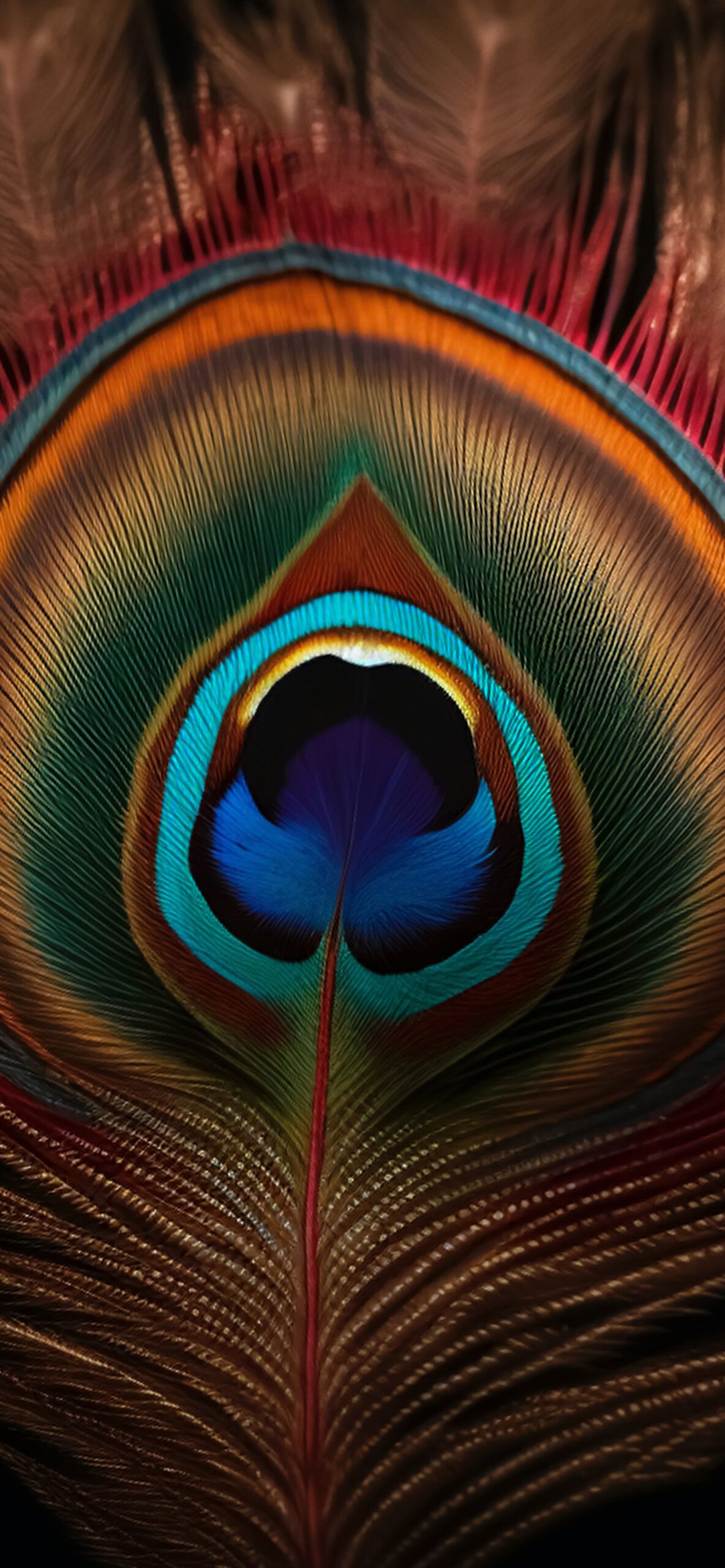 Krishna Feather Wallpapers - Top Free Krishna Feather Backgrounds ...