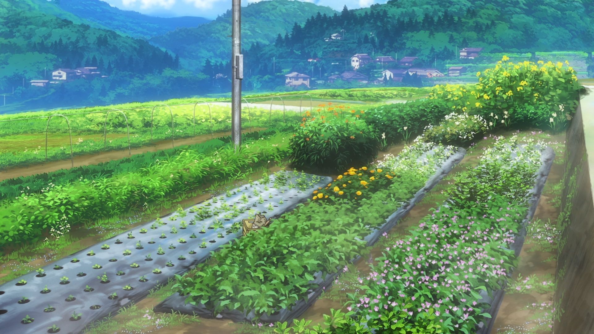 Anime Plants Wallpapers - Top Free Anime Plants Backgrounds ...