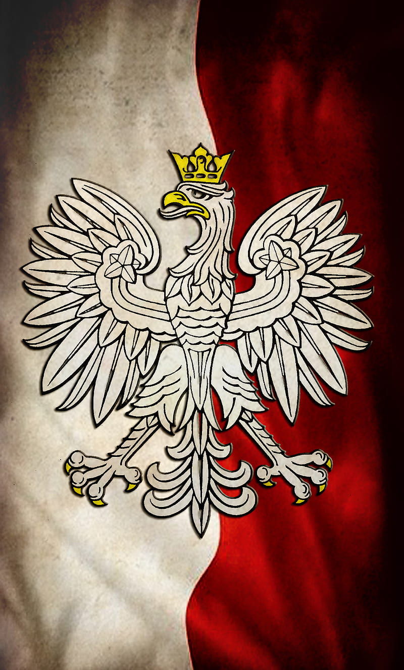 Flag of Poland Wallpapers - Top Free Flag of Poland Backgrounds ...