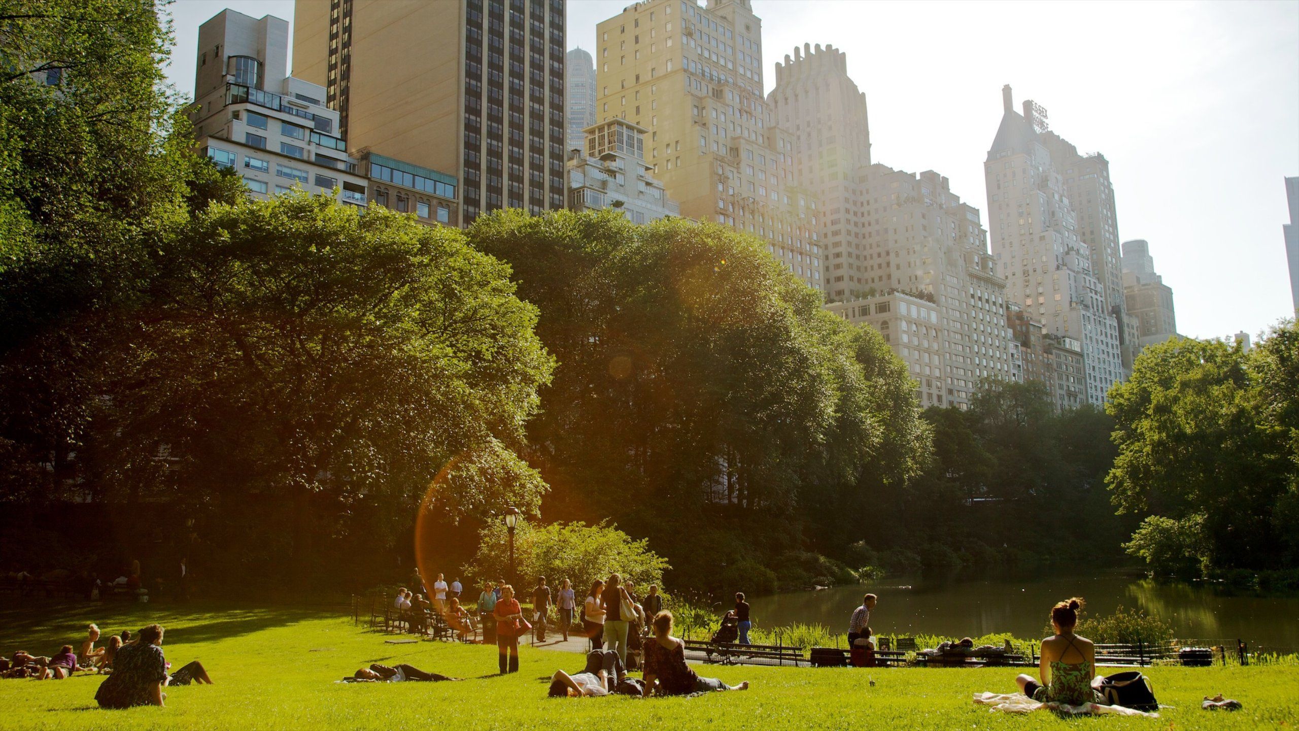Central Park 4k Wallpapers - Top Free Central Park 4k Backgrounds ...