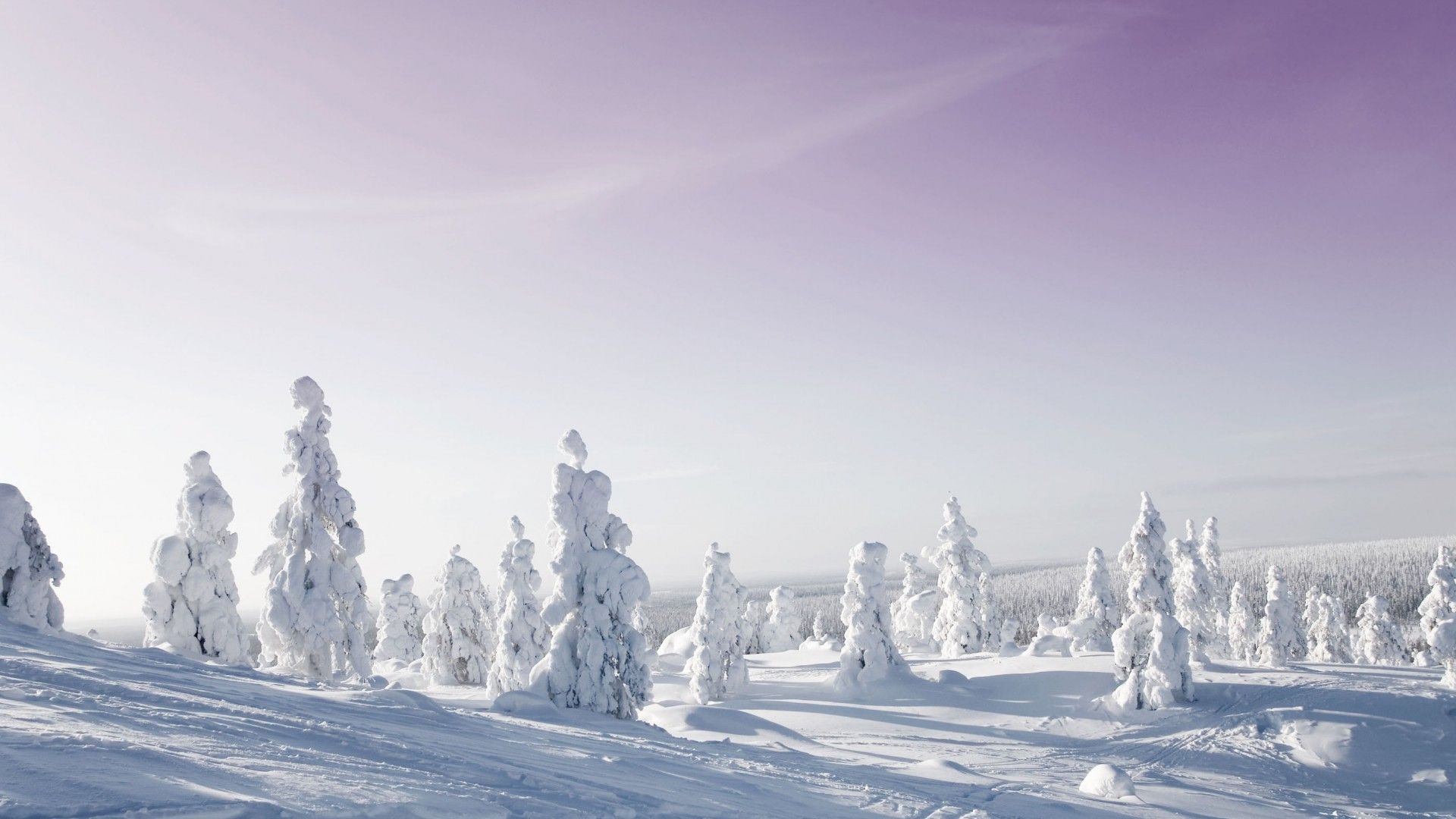 Sweden Winter Wallpapers - Top Free Sweden Winter Backgrounds ...